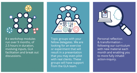 Advanced Practitioner Programme - Global Leadership Associates