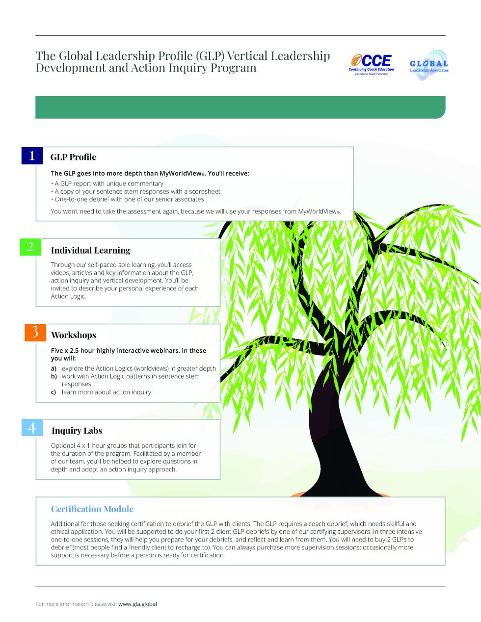 GLA foundation - Global Leadership Associates